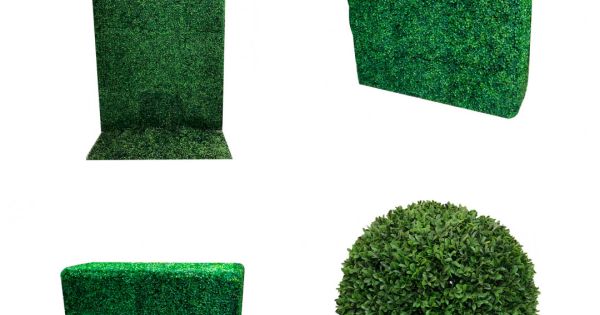 Hedge Walls